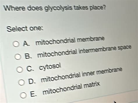 Solved Where Does Glycolysis Takes Place Select One A Mitochondrial