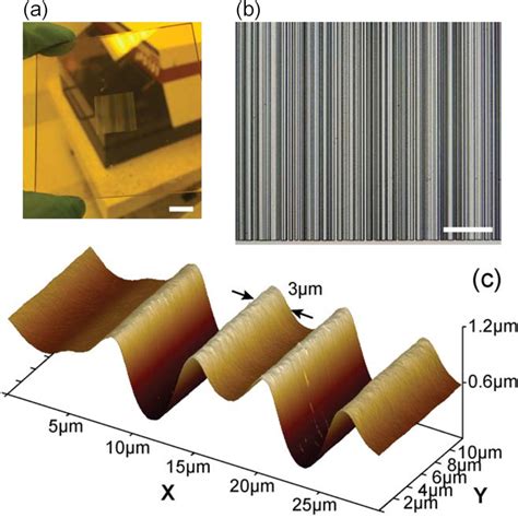 Figure 1 From Computational Snapshot Angular Spectral Lensless Imaging