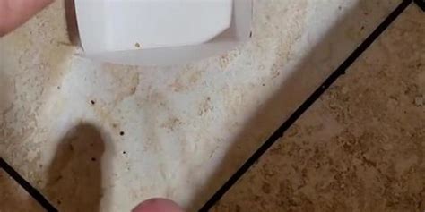 Sweet Apple Apie Tnaflix Com