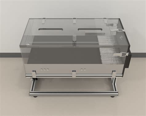 Treadmill Exercise In Mice At Joel Donovan Blog