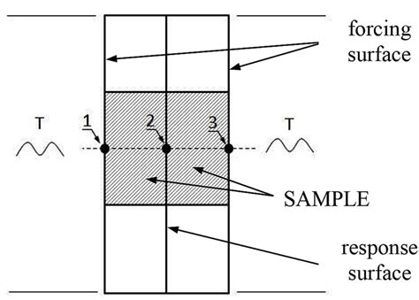 Diagram Of Bilateral Thermal Forcing B 13 Readout Points Of The