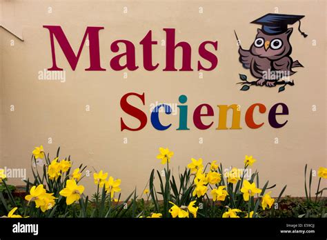 Math Vs Science