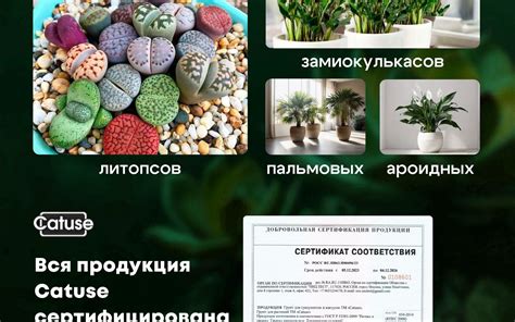 Грунт для кактусов и суккулентов, 1-5 мм, универсальный субстрат для ...