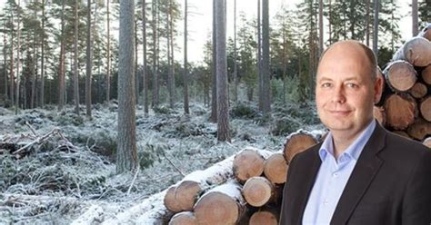 Land Skogsbruk Europeiska Spelregler Riskerar Stoppa Skogsindustrins