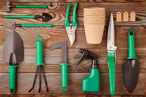 Essential Tools And Equipment For Growing Cauliflower Food Gardening
