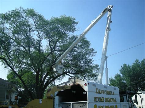 Dan The Tree Man Tree Trimming With The Bucket Truck