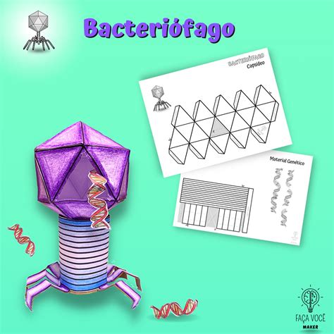 Bacteriófago 3D Faça Você Maker