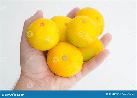 Tangerine стоковое фото изображение насчитывающей цитрус 27541130
