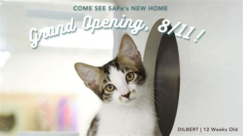 Events From September 27 2023 May 4 2021 • Seattle Area Feline Rescue