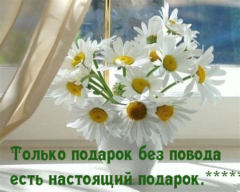 Картинки с надписями "Мудрые" - 2 стр.
