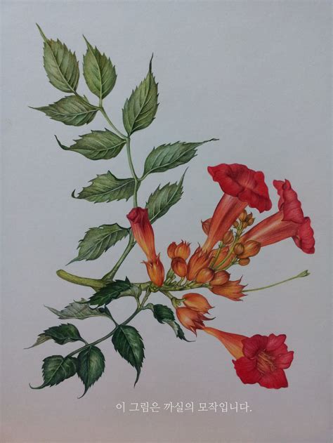 작가되기8 색연필 기법3 남겨놓고 그리기