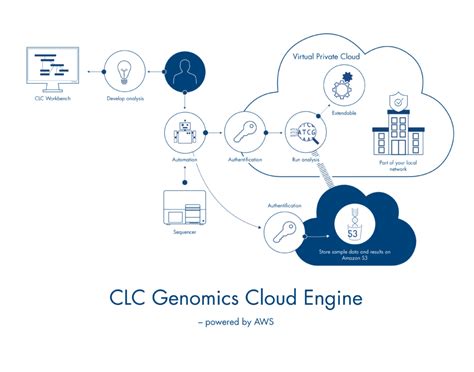 Clc Genomics Cloud Engine Now In Early Access Bioinformatics Software Qiagen Digital Insights