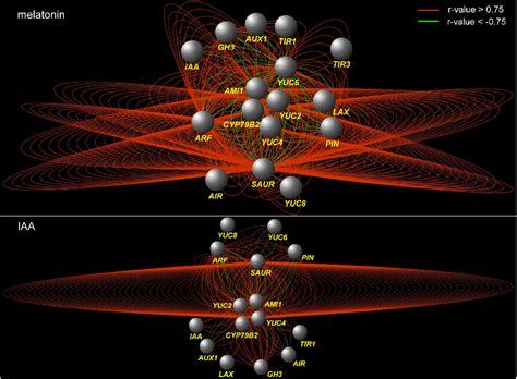 Figure 3 From Melatonin Regulates Gene Expressions Through Activating