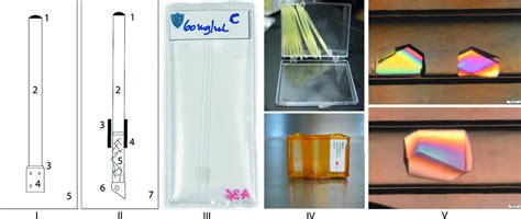 I Schematic Of The Tcb Counter Diffusion Apparatus Which Consists Of
