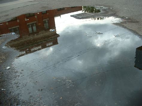 Puddle With Reflection Free Stock Photo FreeImages