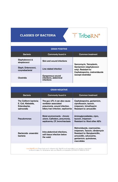 Classes Of Bacteria 8 Classes Of Bacteria Tribe Rn These Charts Are