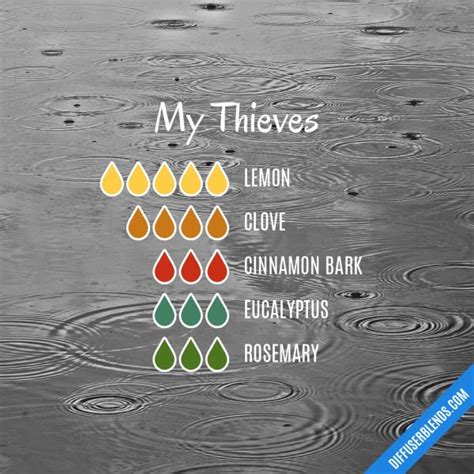 My Thieves Essential Oil Diffuser Blend Essential Oil Blends