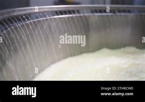 Temperature During Cheese Production Process Put Hot Water And