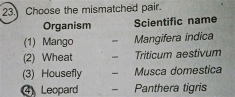 23 Choose The Mismatched Pair StudyX