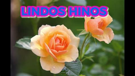 Ccb Lindos Hinos Cantados Youtube