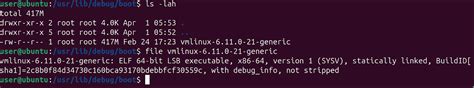 Creating Linux Symbol Tables For Volatility Step By Step Guide