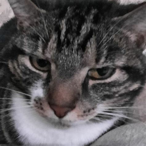 Stream Dj Ander Dingus Music Listen To Songs Albums Playlists For