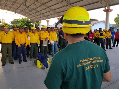 Después Del Sismo En San Mateo Del Mar Comisión Nacional Forestal