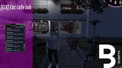 Bobby Scripts [esx] Cat Cafe Job