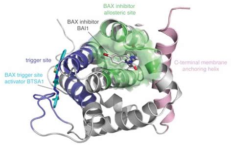 Protein Modulation Helps Drug Design Get A Grip Biotech Today