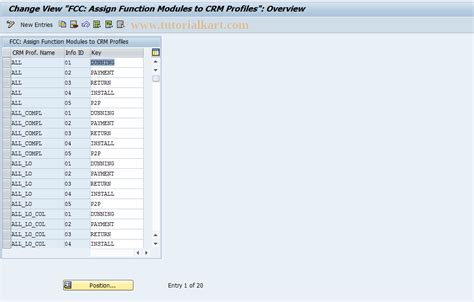 fkkcrm info prof sap tcode define information module