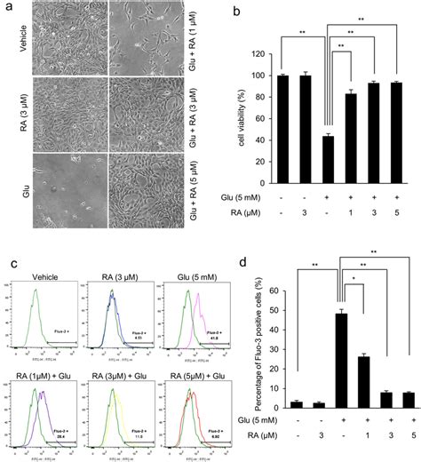 Representative Photos Of Cells A Cell Viability B And Intracellular