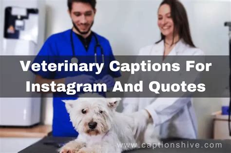 200 Best Veterinary Captions For Instagram And Quotes 2024