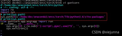 Modulenotfounderror No Module Named ‘gunicornapp‘； ‘gunicorn‘ Is Not