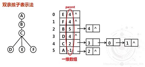 数据结构树的存储方式详解 Csdn博客