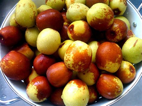 Five Friday Favorites 100617 Pamela Salzman Bowl Of Fresh Jujubes