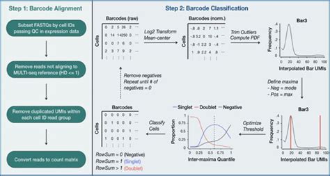 Multi Seq Sample Multiplexing For Single Cell Rna Sequencing Using Lipid Tagged Indices Rna