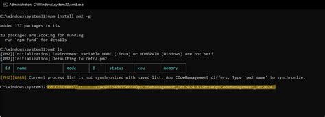 Pm2 Deployment Senseops Documentation