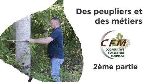 DPDM Coopérative Forestière Marnaise Partie 2 YouTube