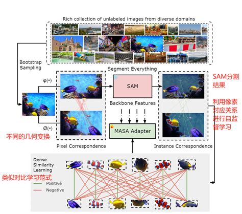Matching Anything By Segmenting Anything Cvpr Highlight
