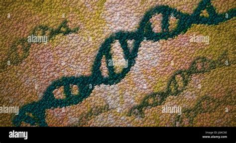 Genome Sequencing High Resolution Stock Photography And Images Alamy
