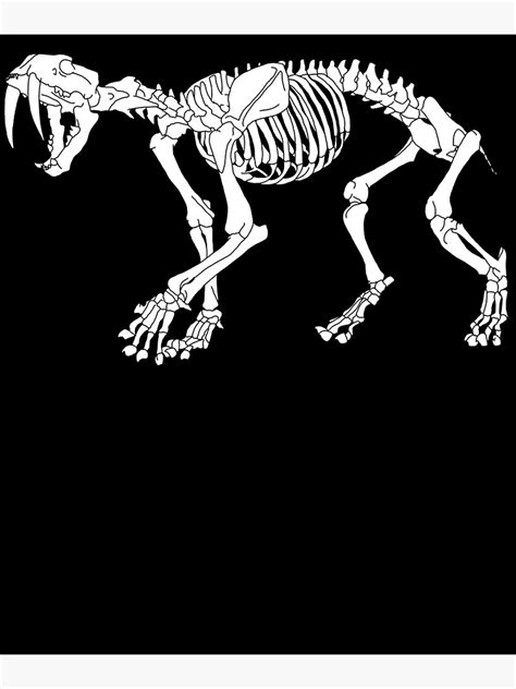 Smilodon Skeleton Poster For Sale By Giuliamichiels Redbubble