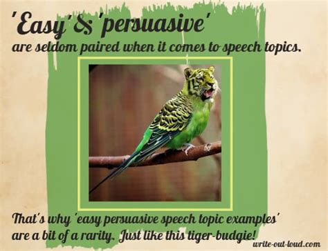 Easy Persuasive Speech Topics 309 Great Examples