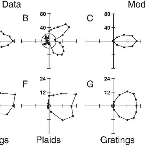 Component Direction Selectivity And Pattern Direction Selectivity