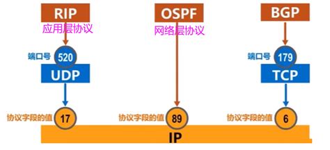 四、网络层（二）路由算法与路由选择协议洪泛法路由算法 Csdn博客
