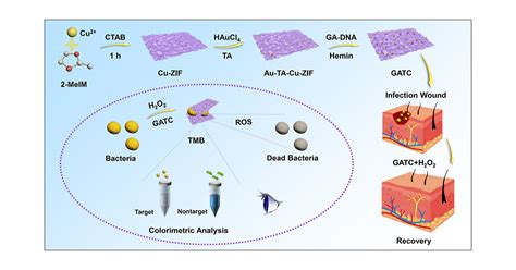 Aptamer And Dnazyme Functionalized Cu Mof Hybrid Nanozymes For The