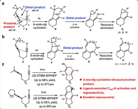 Transition Metal Catalyzed Cycloisomerization Of 16 Allenynes A Download Scientific Diagram