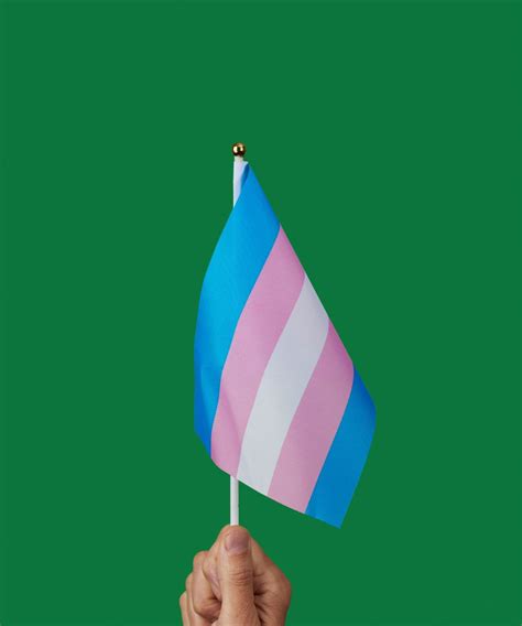 ¿cuál Es La Diferencia Entre Transexual Y Transgénero