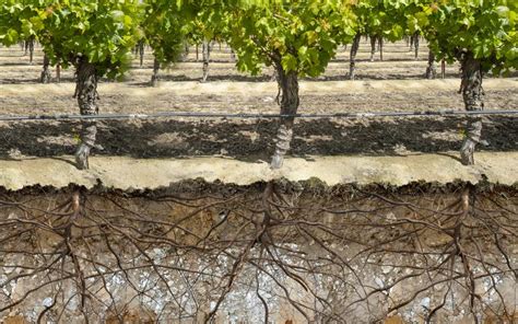 Soil Conditions Onsets Hobo And Intemp Data Loggers