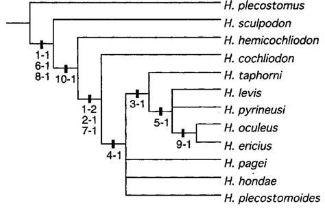 Single Most Parsimonious Tree Of 9 Steps Ci 100 Skeletons Of