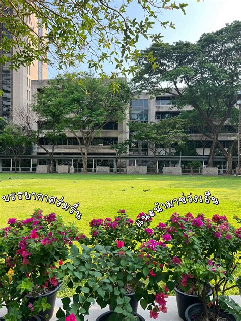 💛 แนะนำ สวนสาธารณะ หลังสยาม เข้าฟรี เดินเล่นชิล ๆ เลย แกลเลอรีที่